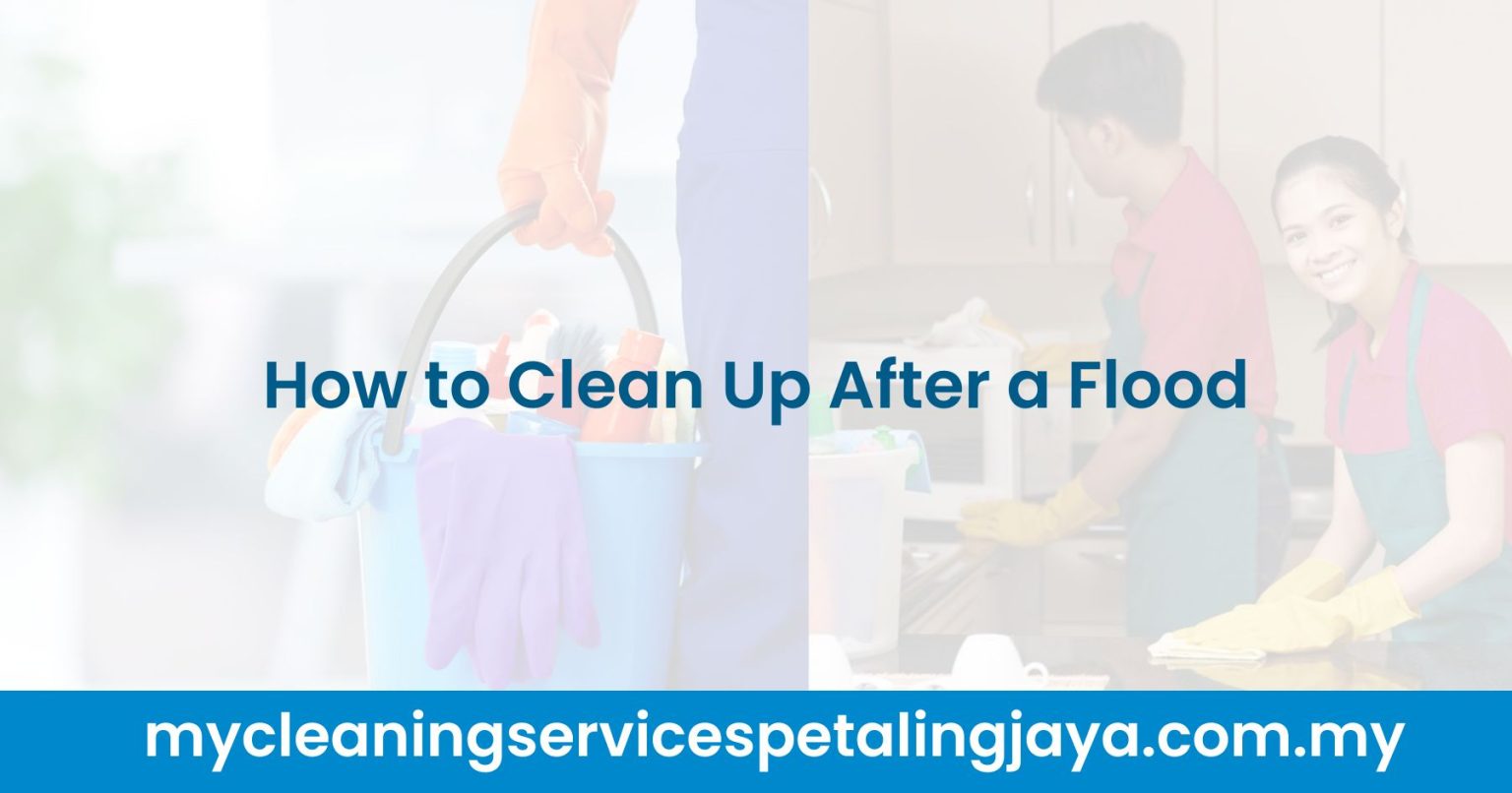How to Clean Up After a Flood [2025]